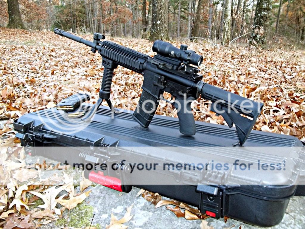 Soooo.........I stole the wife's camera this afternoon and took some ...