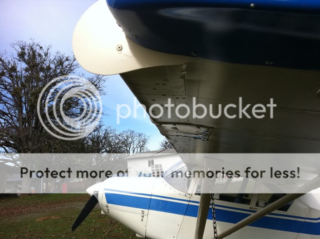 Leading edge skins or cuffs for Pacer? - Backcountry Pilot