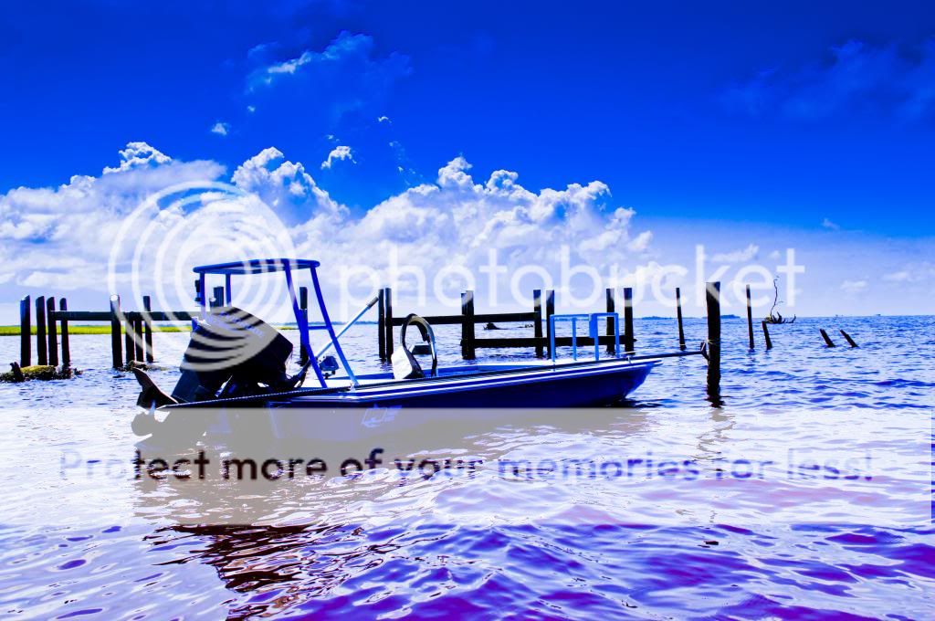 iceee blue ipb 16 | Dedicated To The Smallest Of Skiffs