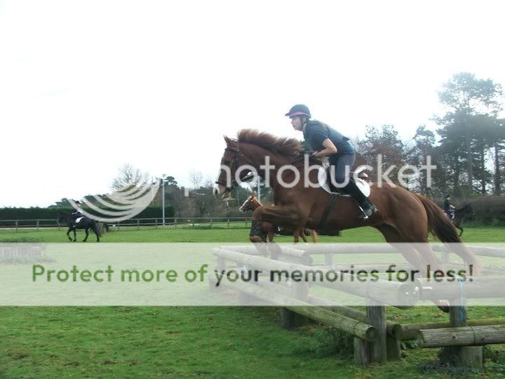 help with lower leg over fences | Horse and Hound Forum