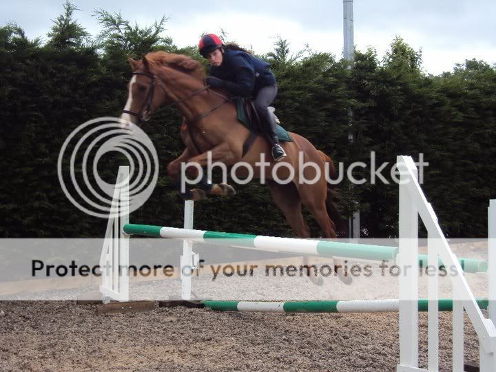 help with lower leg over fences | Horse and Hound Forum