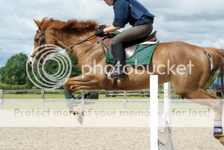 help with lower leg over fences | Horse and Hound Forum