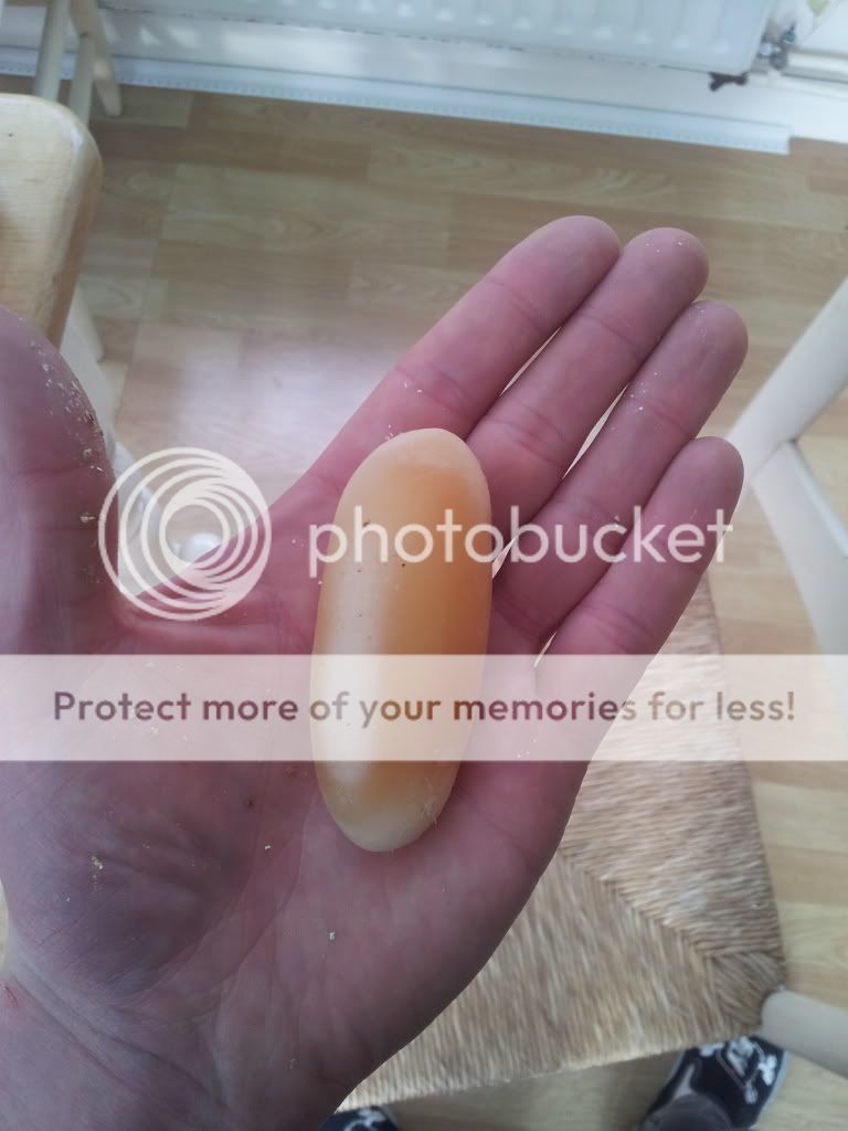 Royal python eggs | Reptile Forums